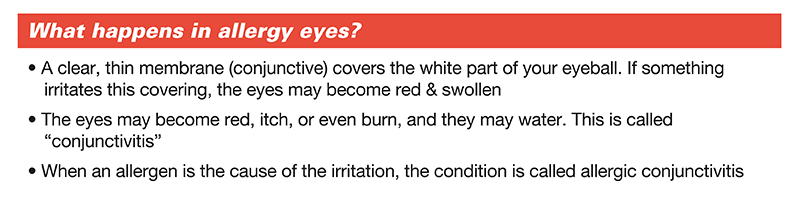 Buy Naphcon-A Eye Drops 15ml Online at Chemist Warehouse®